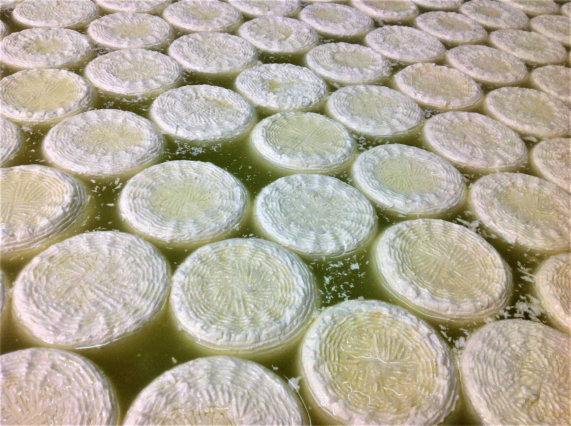 The Cheese • Visit Eastern Halkidiki