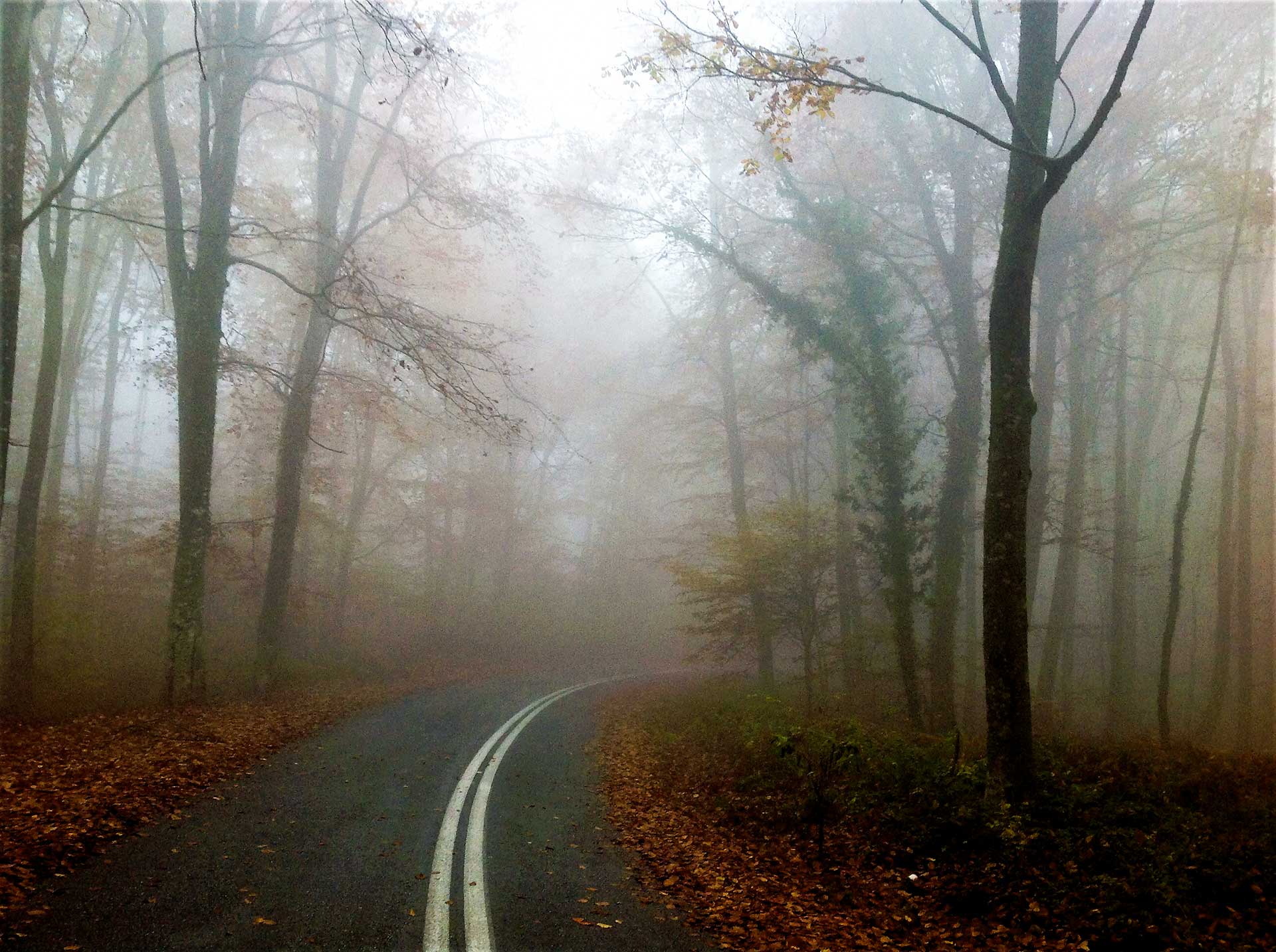 Winter Activities • Visit Eastern Halkidiki