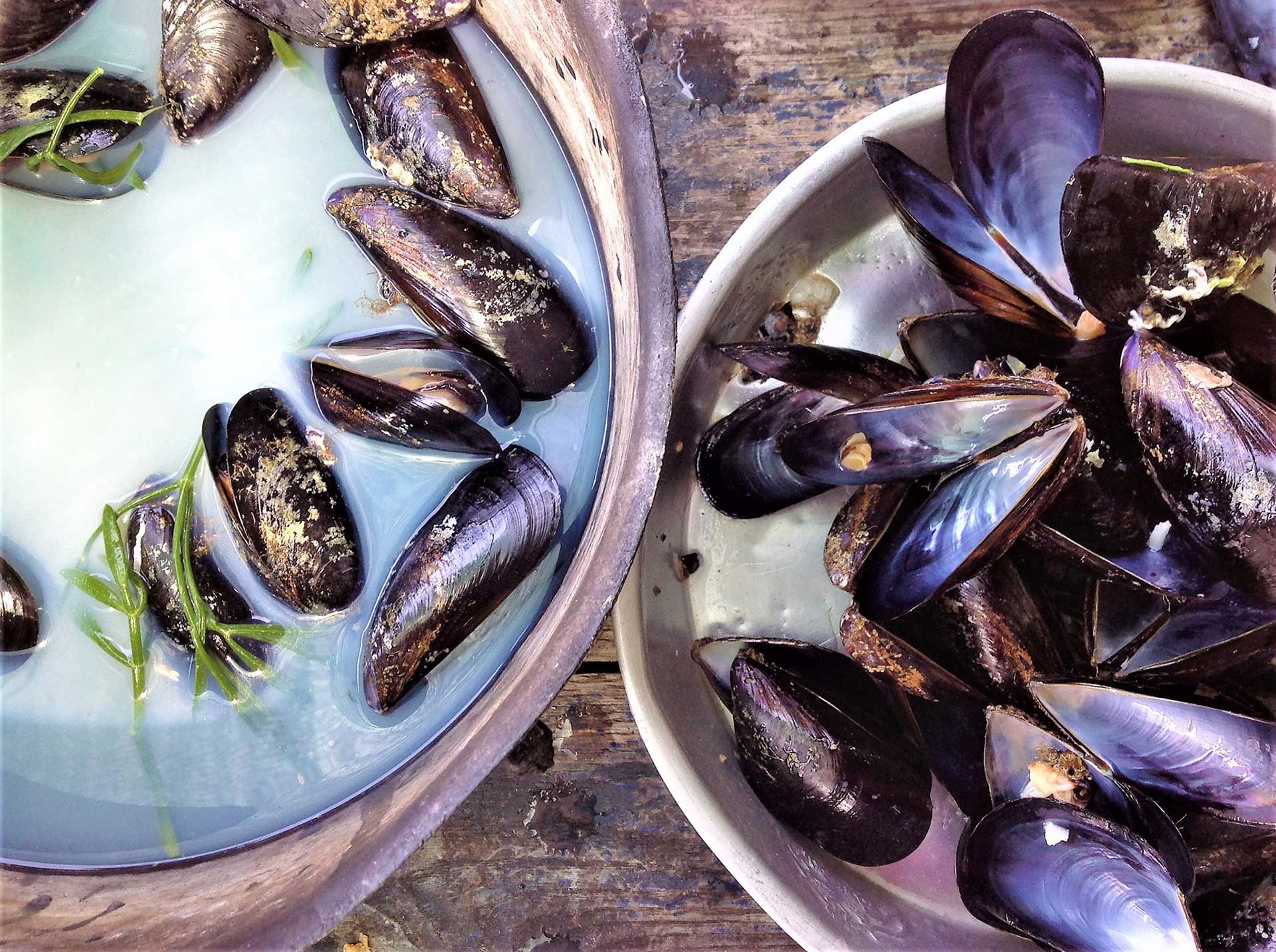 The Mussels And The Mussels Farms • Visit Eastern Halkidiki