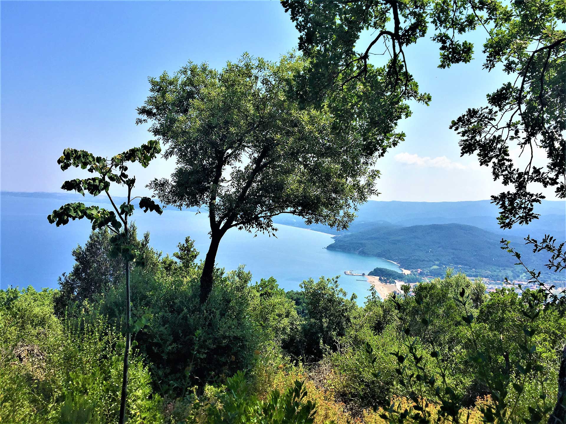 Μεγάλη Παναγία • Visit Eastern Halkidiki